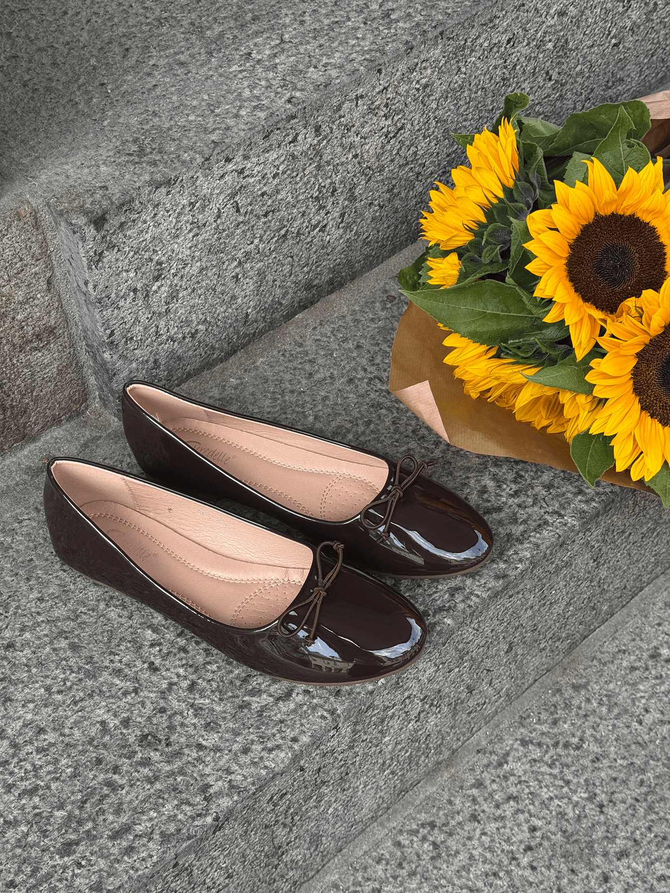 Isabelle Shine Ballerina - Dark Brown – pitayacom